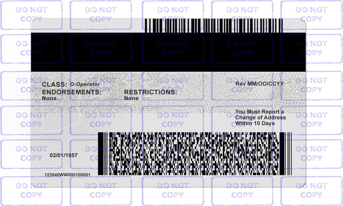 Arizona Driver License Template – EDIT DL
