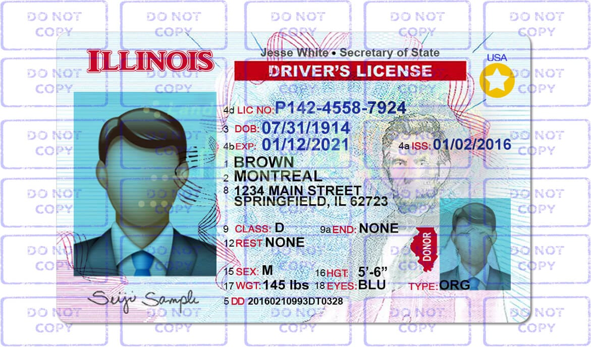 Illinois Driver License Template – EDIT DL